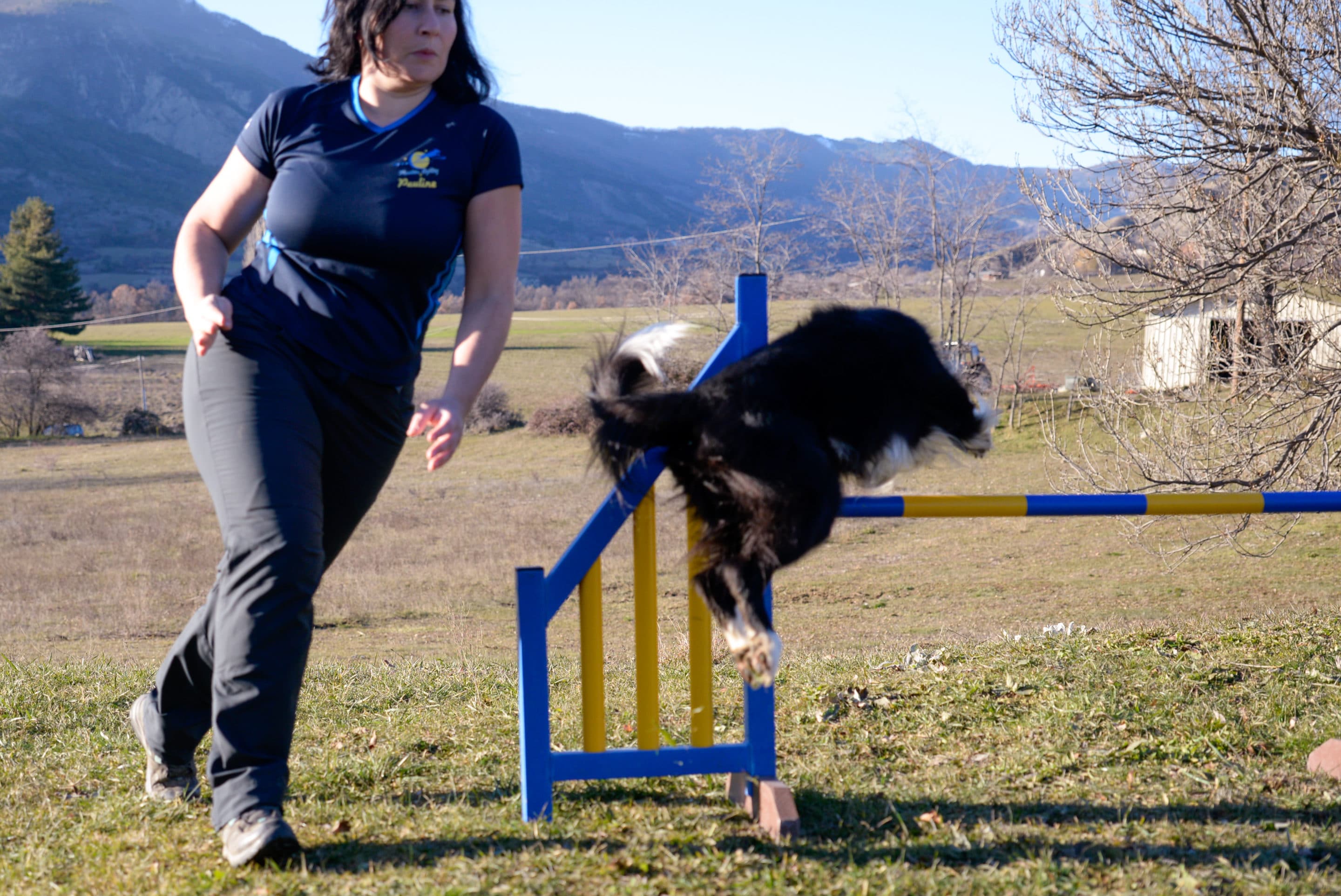 Tourner court : apprendre à son chien à enrouler les montants en agility